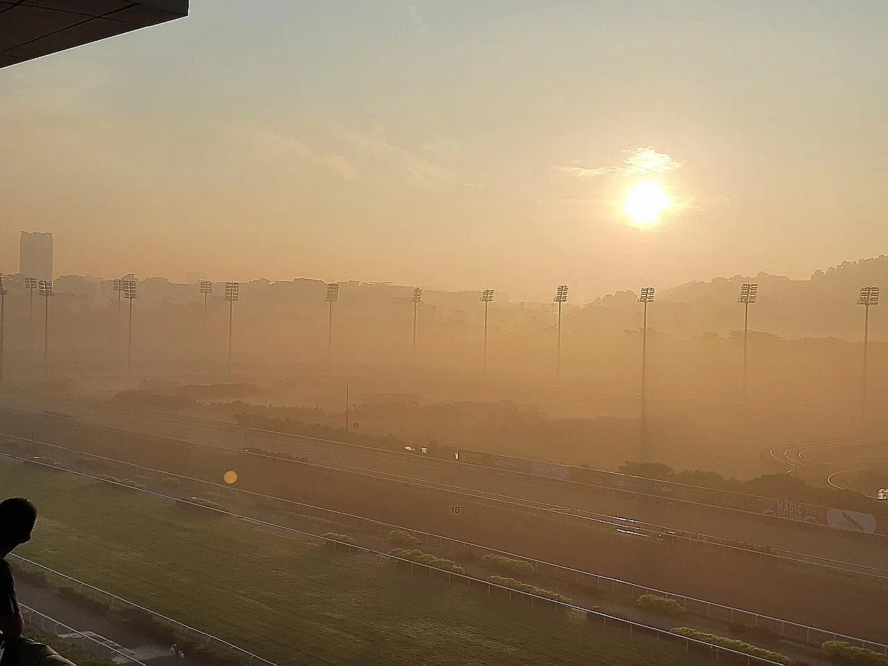 Yesterday's gallops by horses..., Latest Sports News - The New Paper