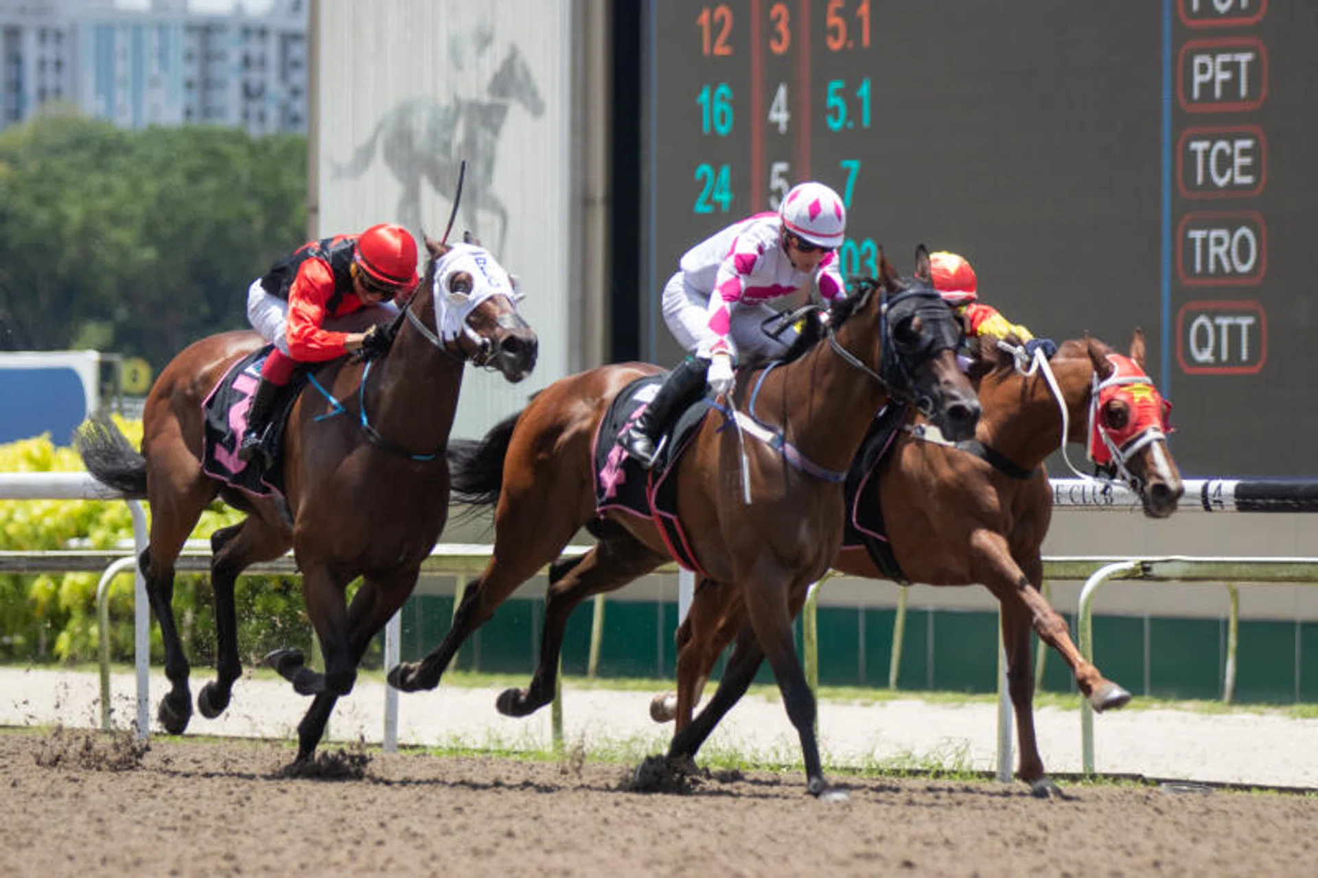 Wong makes hay while sun shines | The New Paper