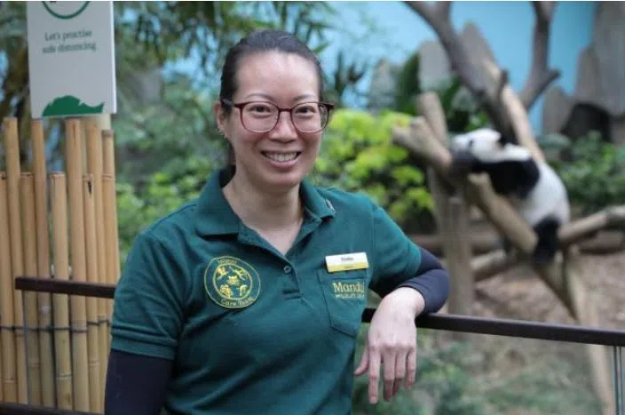 Caring for pandas helps keeper on..., Latest News - The New Paper