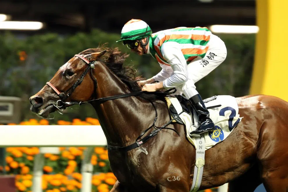 Loriz set for 2nd straight success, Latest Sports News - The New Paper