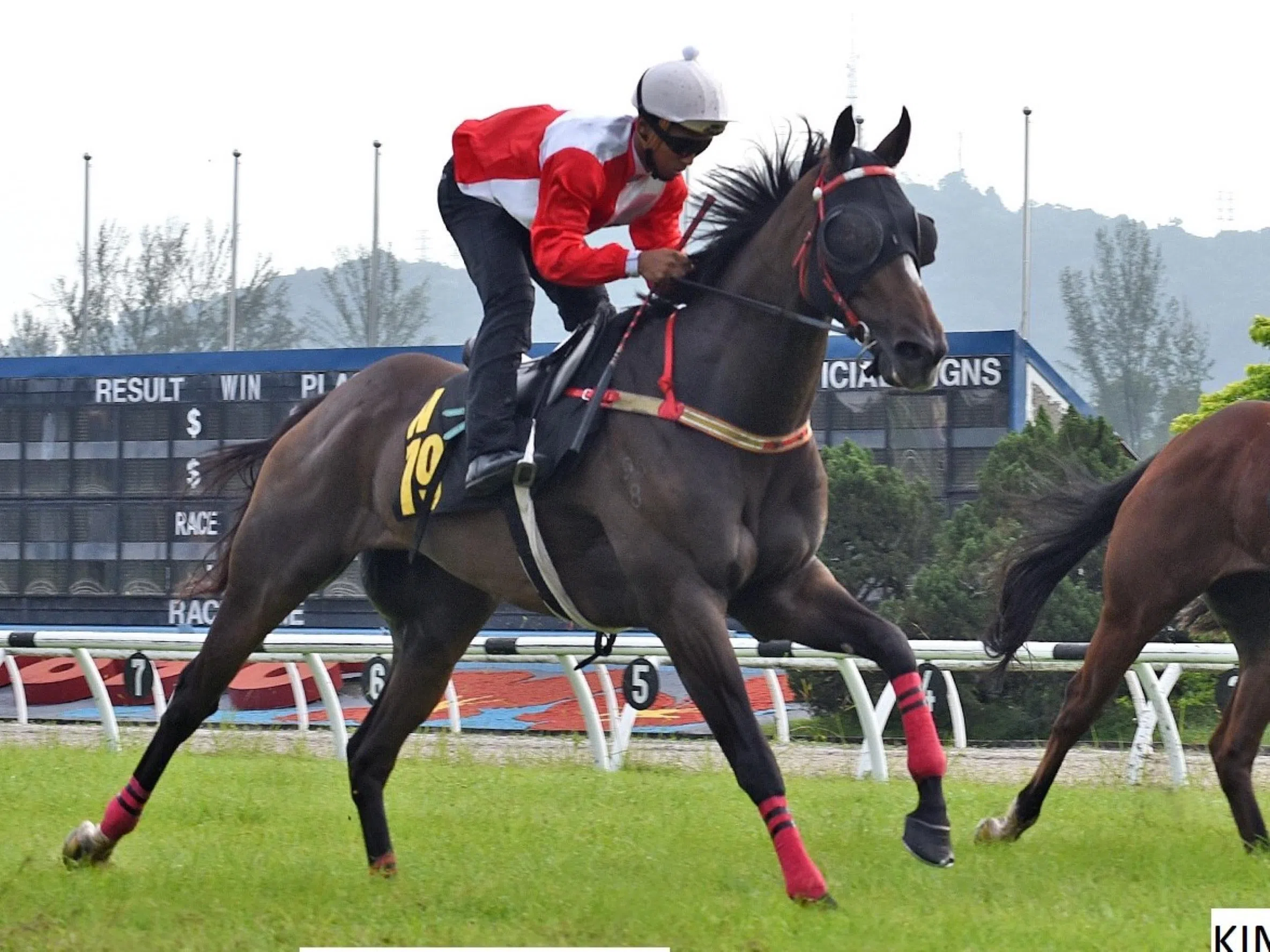 Choi's Platinum Boss is all set to turn to gold | The New Paper