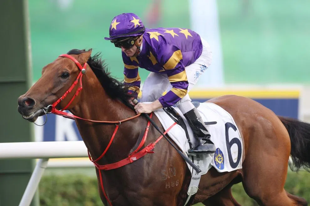 Golden Express heading for fourth straight win | The New Paper