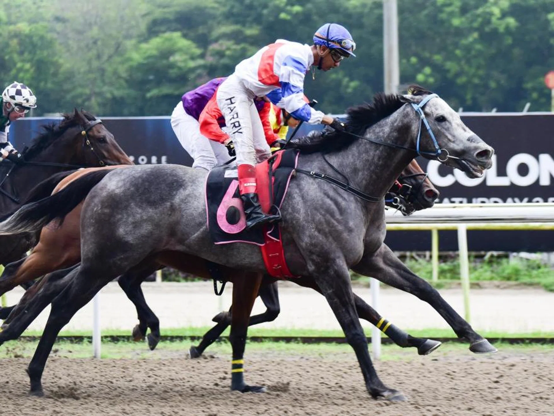 From ordinary to extraordin-Harry, Latest Sports News - The New Paper