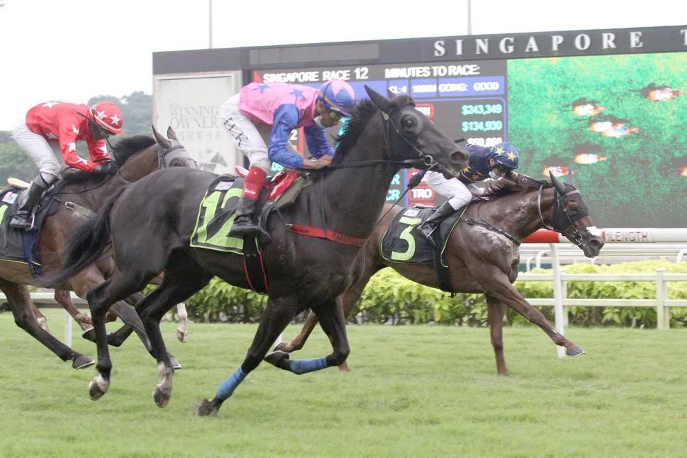 Kellady gets to ride Burridge's Tiger | The New Paper