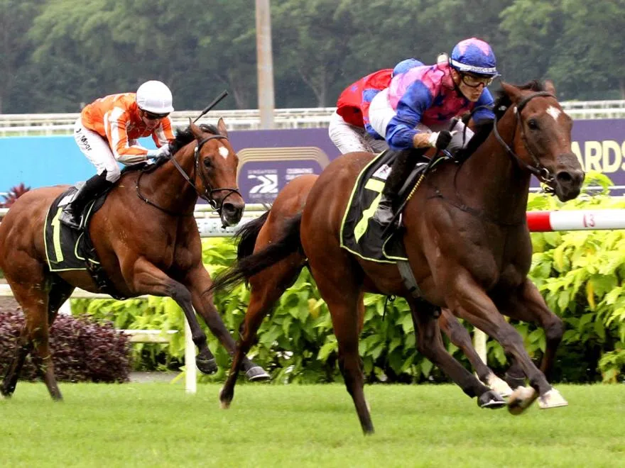 Fitzsimmons hits rare quartet | The New Paper