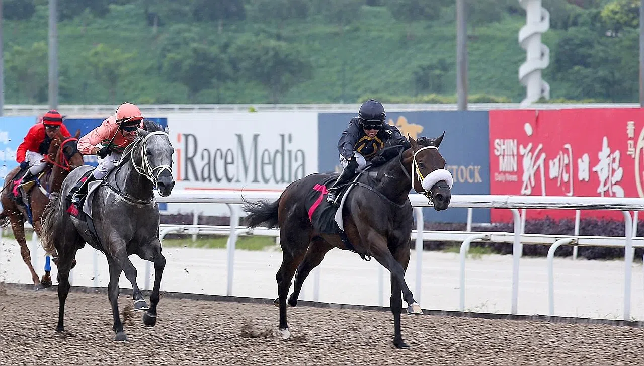 Royal Ruler impresses | The New Paper