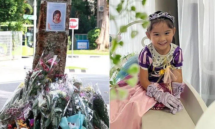 Maid accused of rash act in River Valley accident to claim trial | The ...