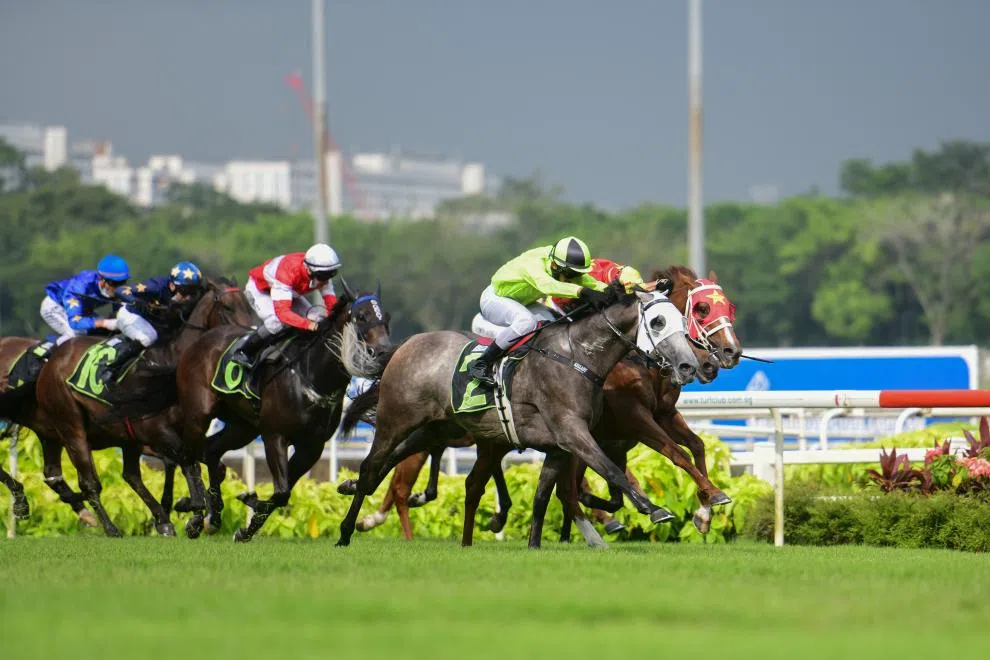 The King's back in Command, Latest Sports News - The New Paper