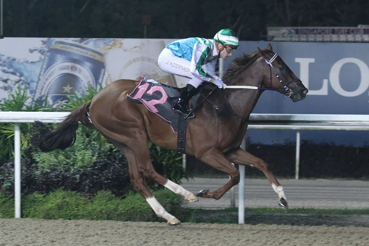 Guide to yesterday's Kranji trackwork | The New Paper