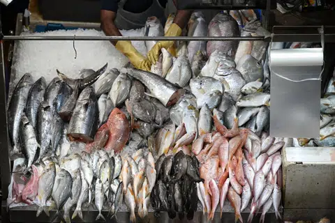 Ex-NTUC FairPrice team leaders..., Latest News - The New Paper