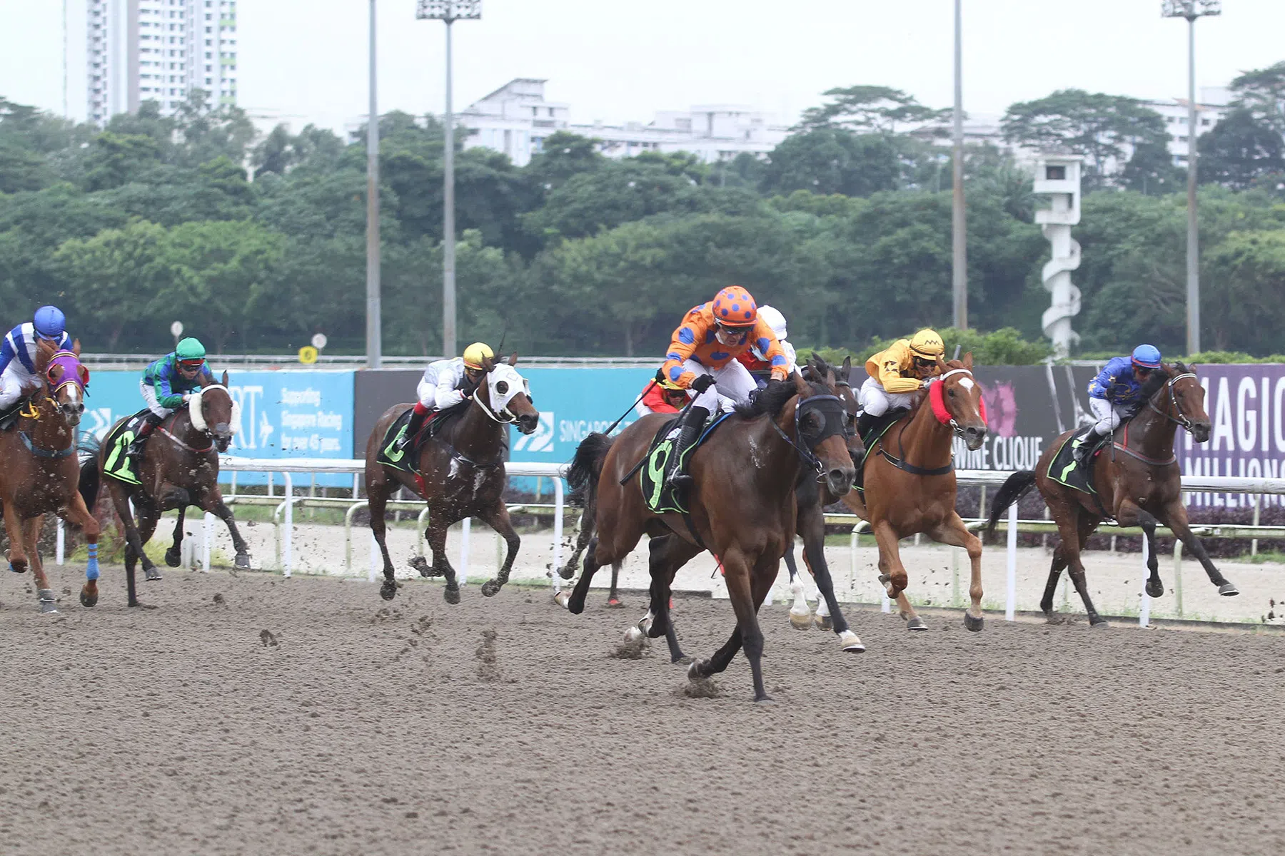 His Relentless spirit pays off, Latest Sports News - The New Paper