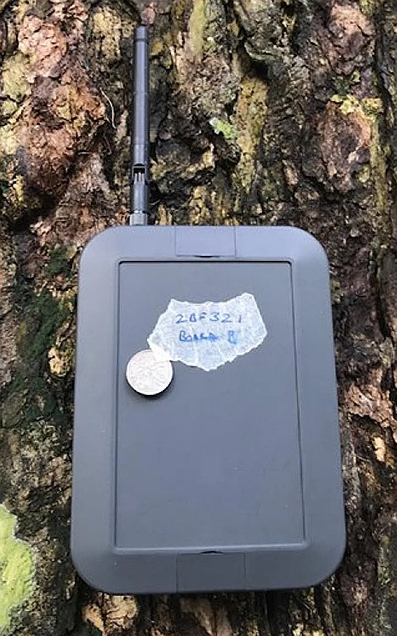 NParks to use technology to improve tree management | The New Paper