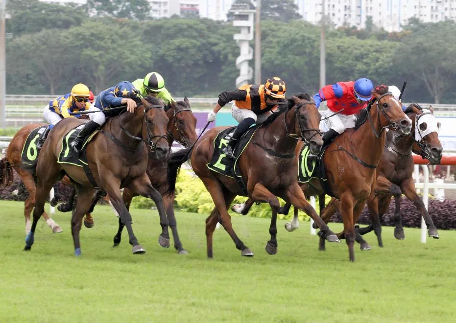 Singapore Guineas duo go great guns | The New Paper