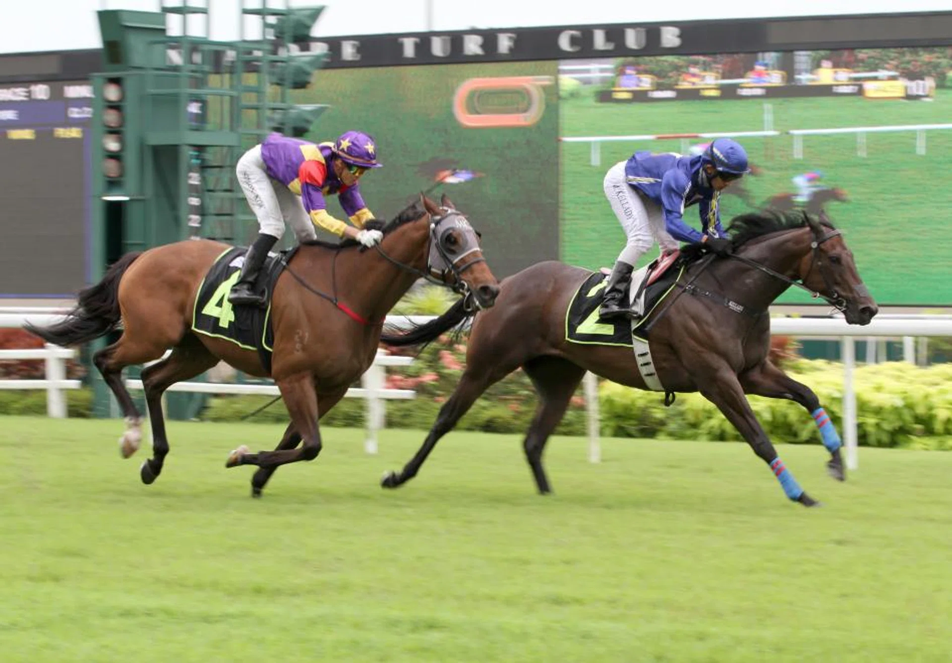 Kok back with a French flair, Latest Sports News - The New Paper