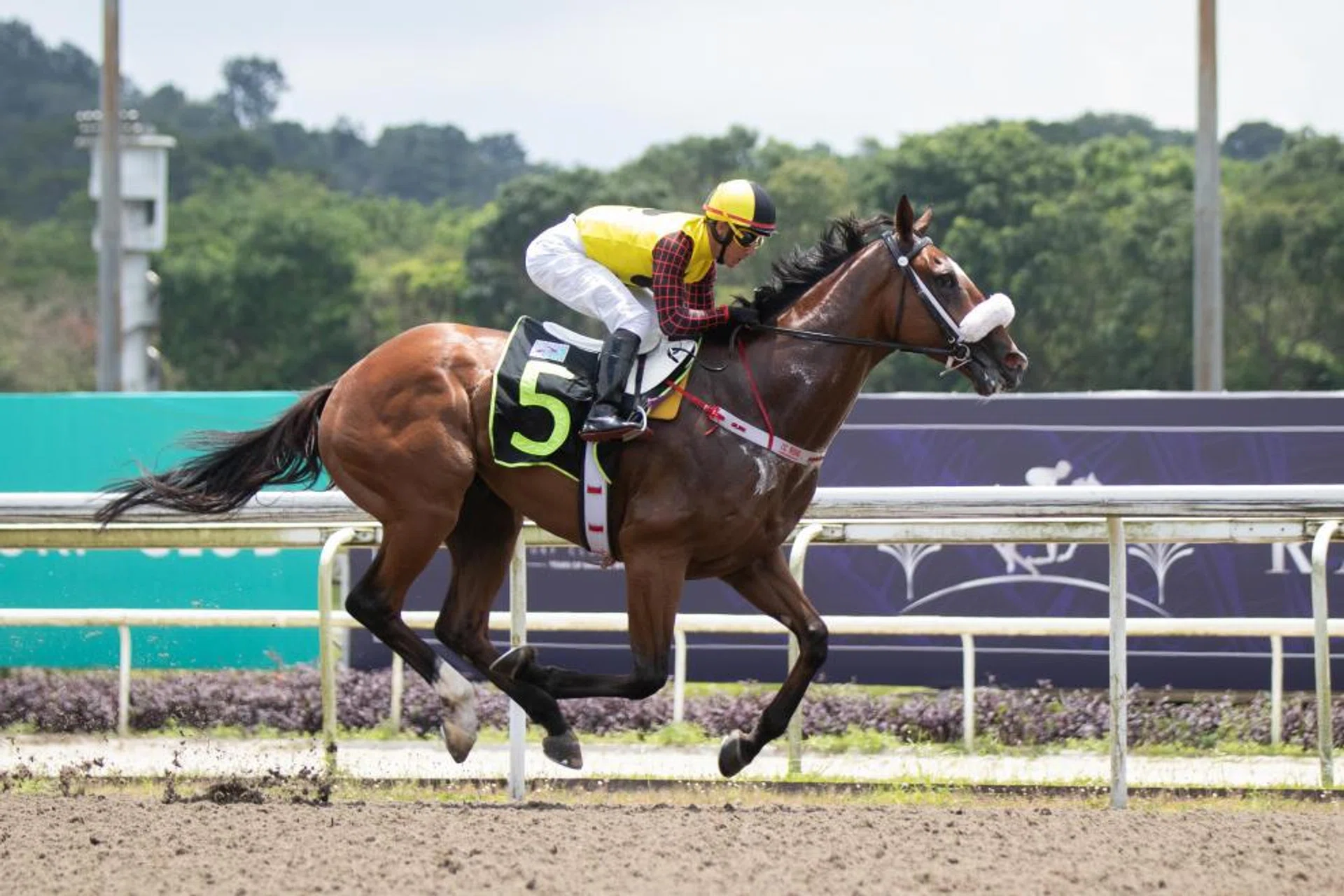 Getting more bang for Speedy Buck | The New Paper