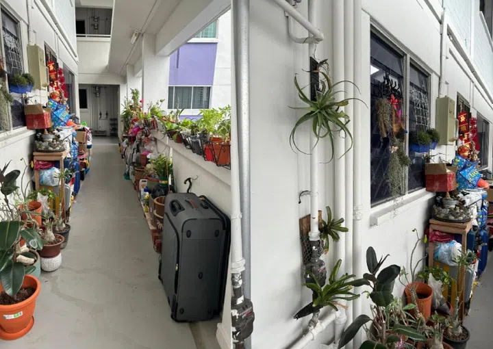 'It's for charity': Bishan resident receives complaints for corridor ...