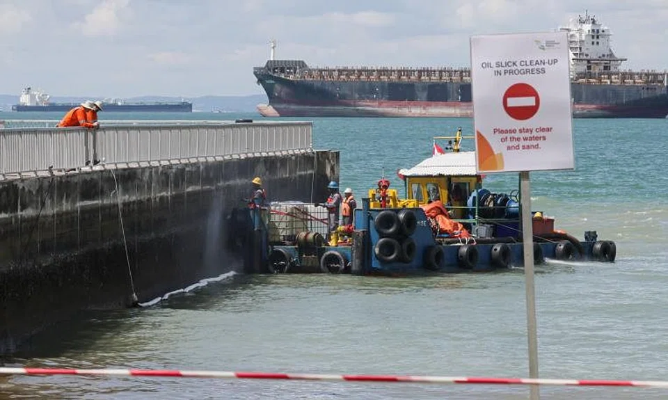 First hawksbill turtle nest found at ECP after oil spill | The New Paper