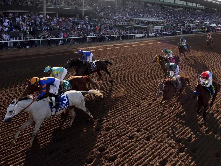 Trainer Dutrow returns from 10-year ban to win Breeders' Cup Classic ...