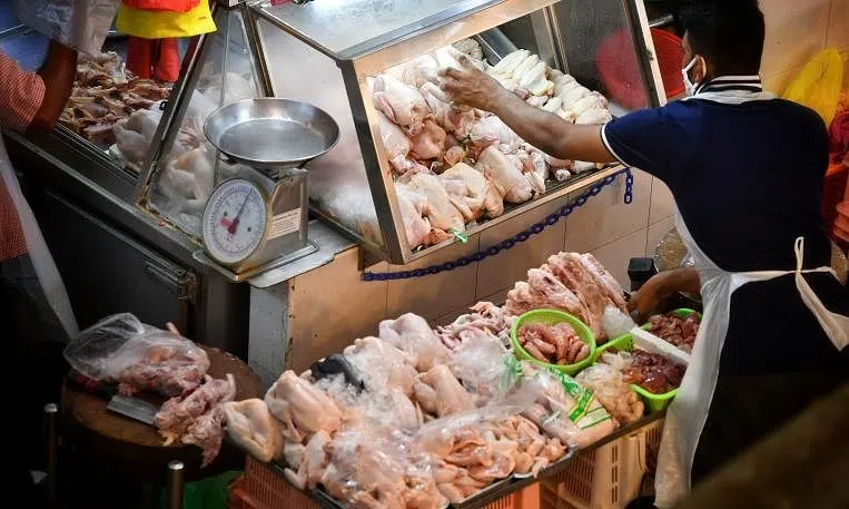 What types of chicken are imported into S'pore? | The New Paper