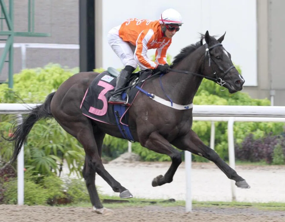 'I can't support STC anymore, I'm done' | The New Paper