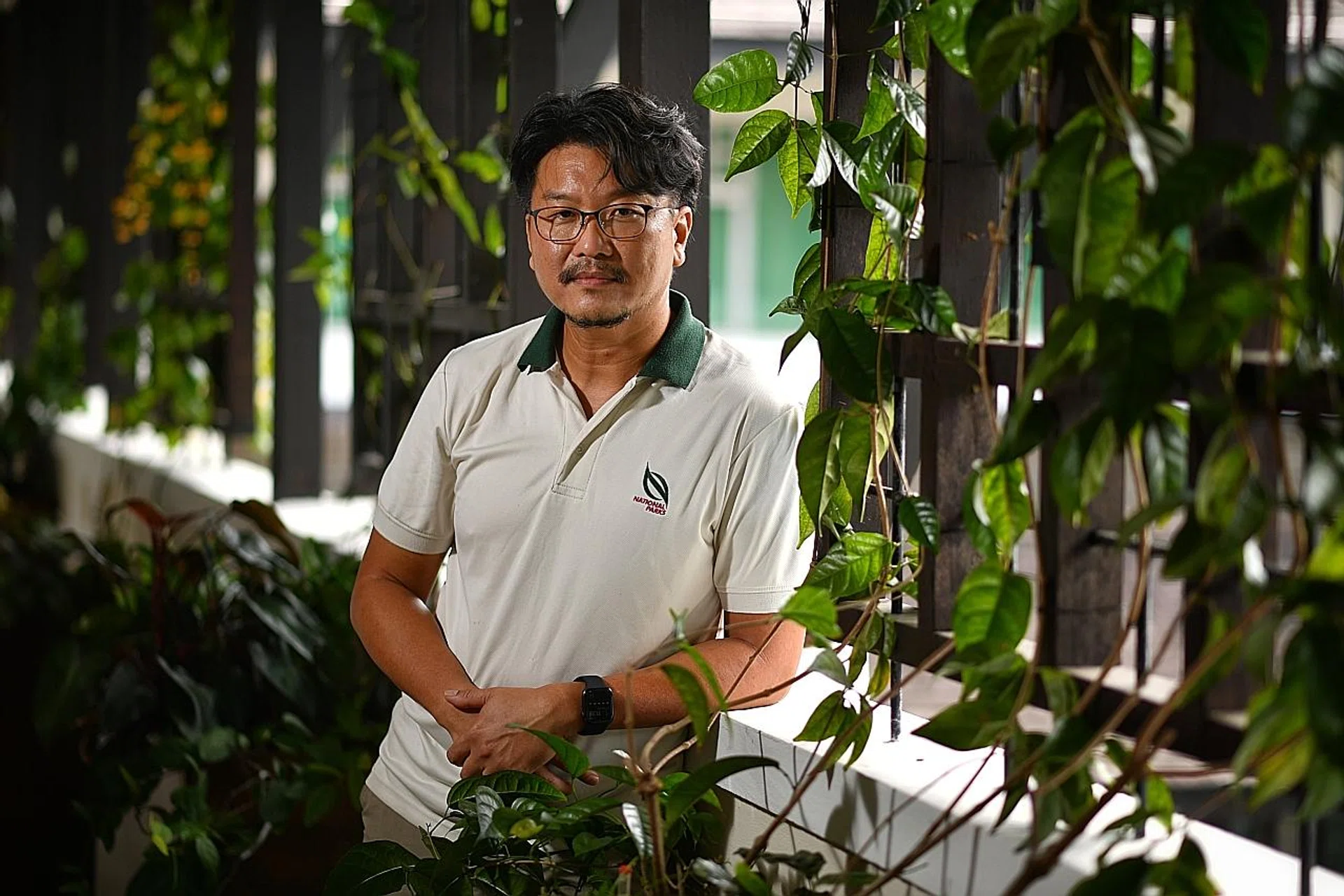 Studies done to manage boar..., Latest News - The New Paper