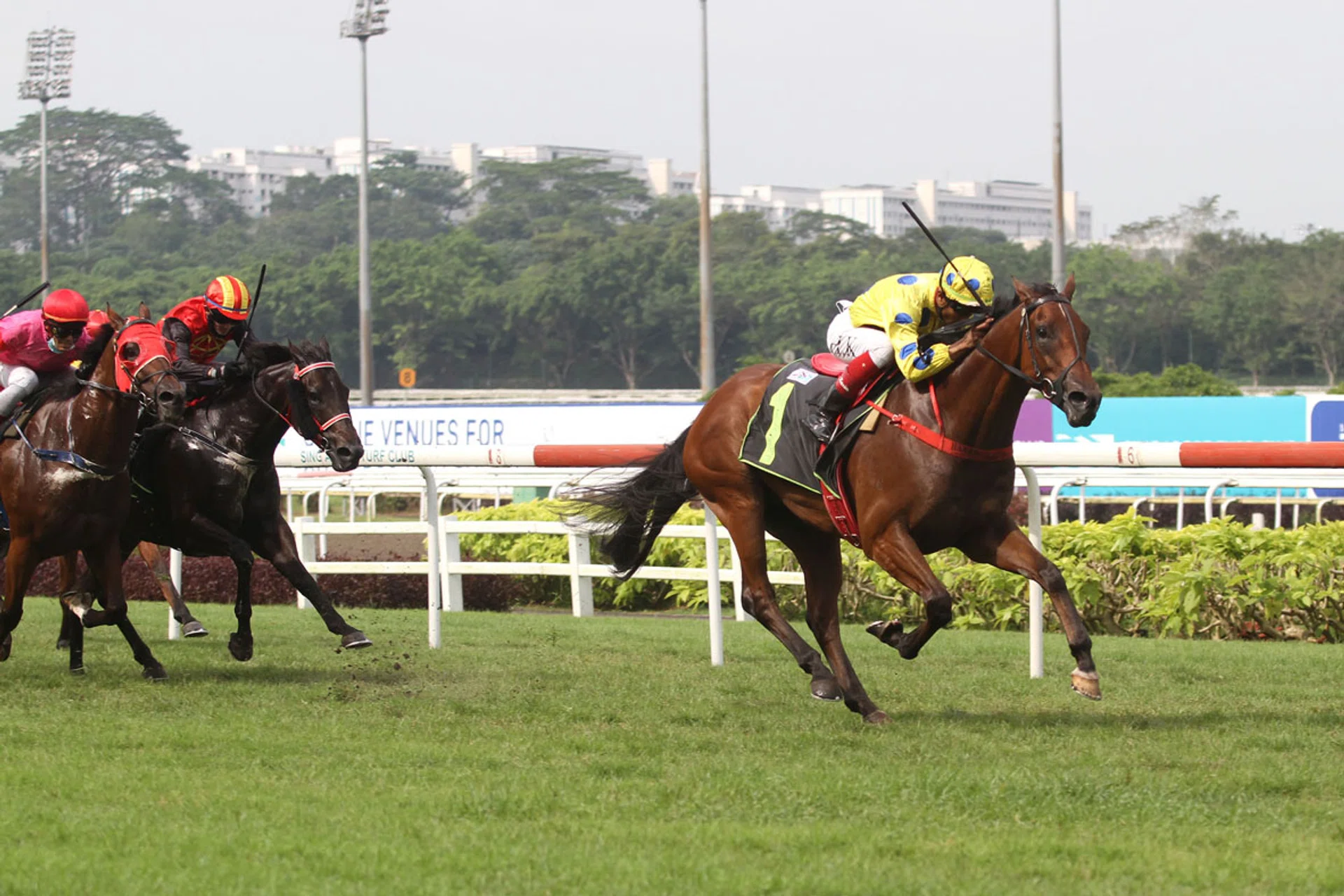 Mr Malek has eyes on the Stewards | The New Paper