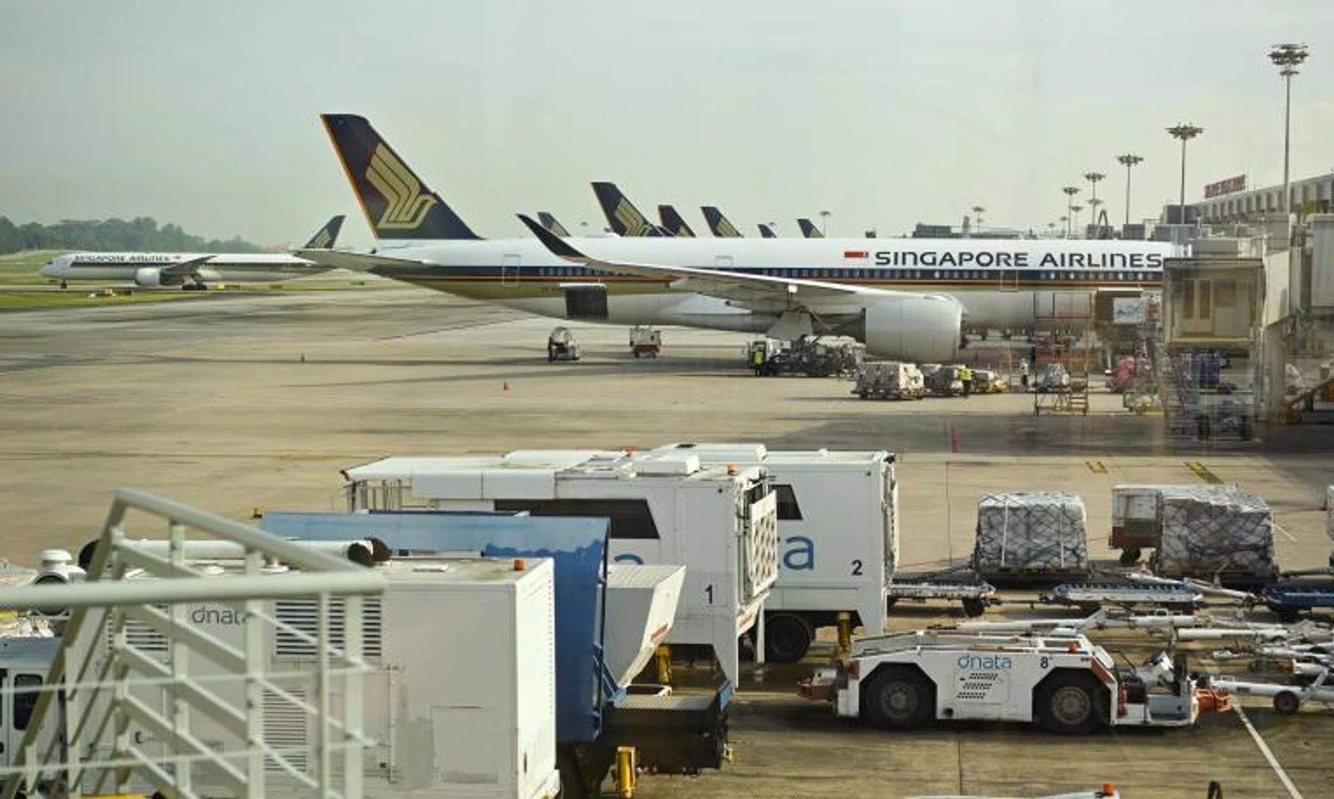 SIA flights 'for eligible passengers..., Latest News - The New Paper