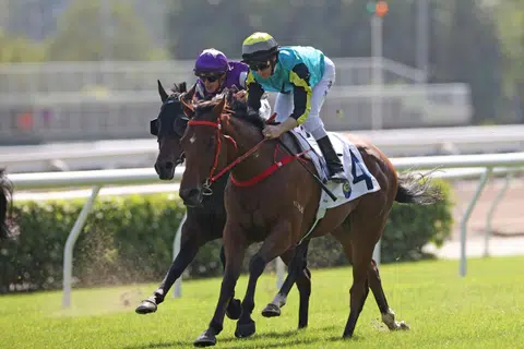 Feb 9 Hong Kong (Sha Tin) form analysis, Latest News - The New Paper