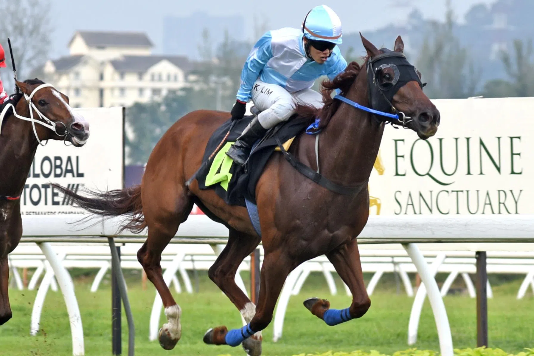 Richard Lim's staying talent Elite Boy makes it back-to-back in Kuala ...