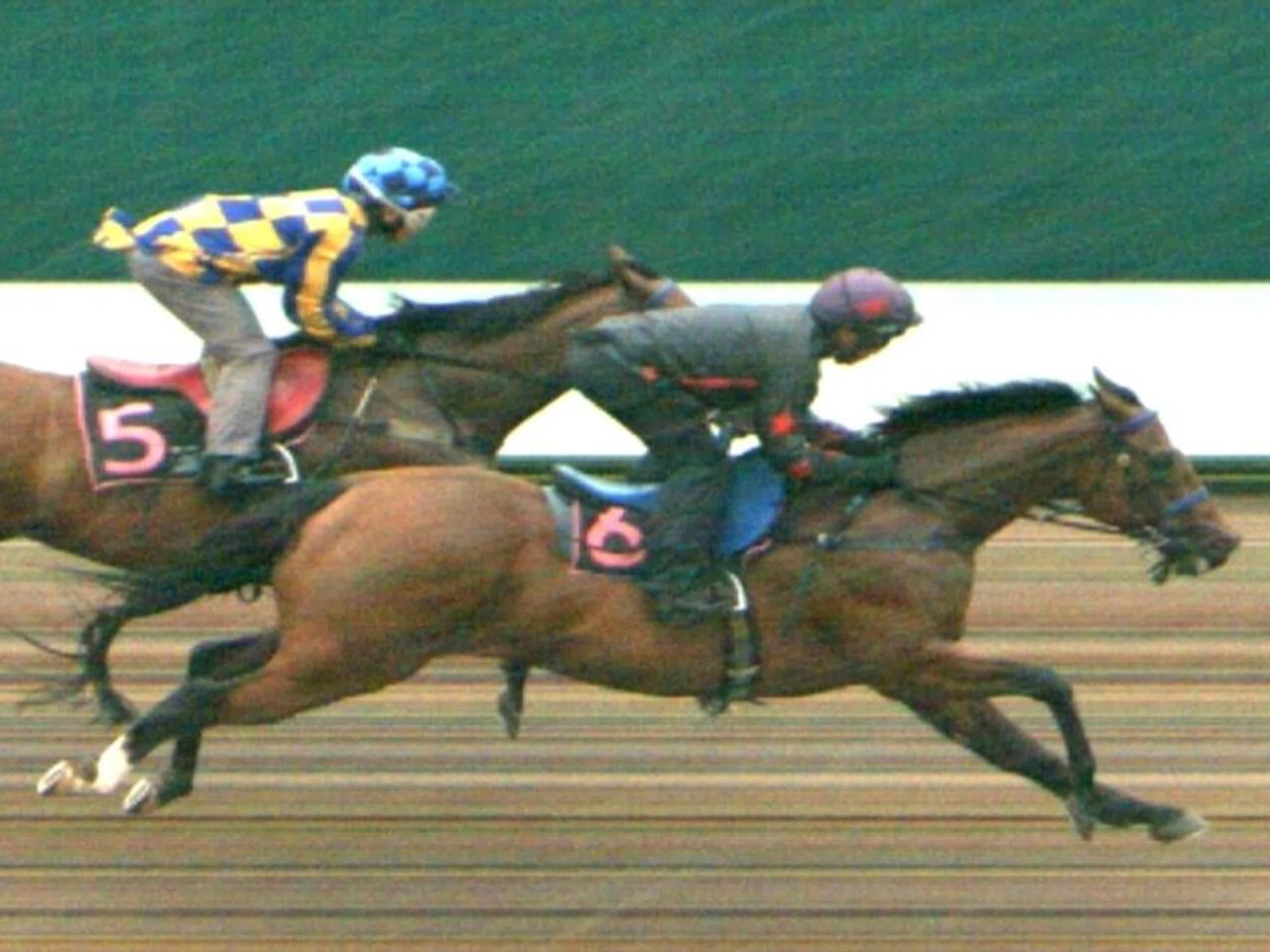 Kharisma leads Gray trifecta | The New Paper