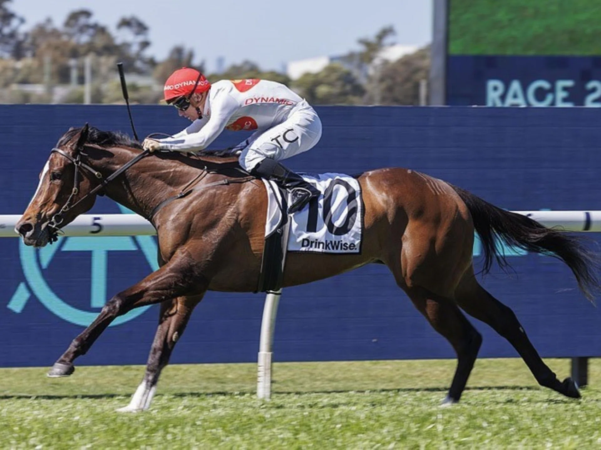 Nock, Knock, who's there? | The New Paper