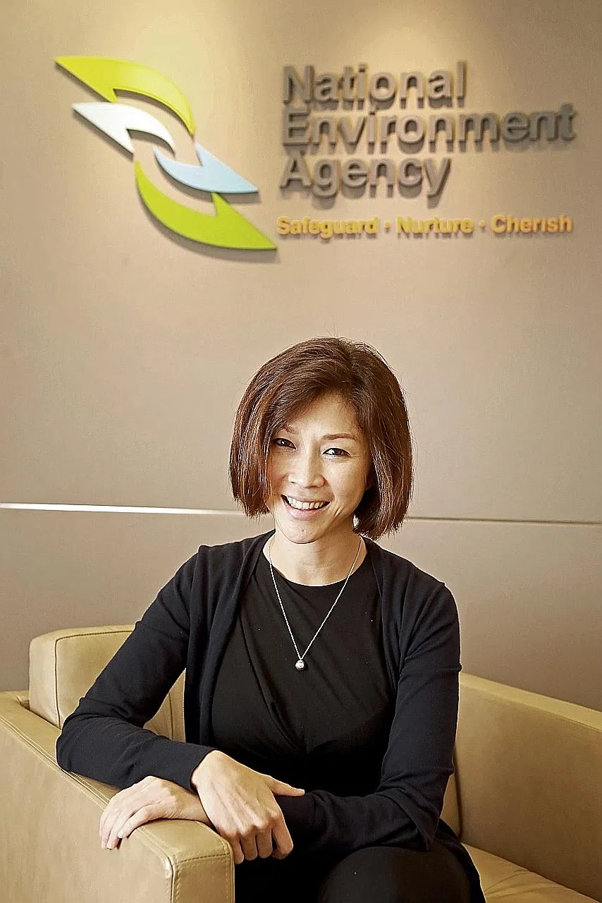 Wong Li Lin quits Public Hygiene Council, Latest News - The New Paper