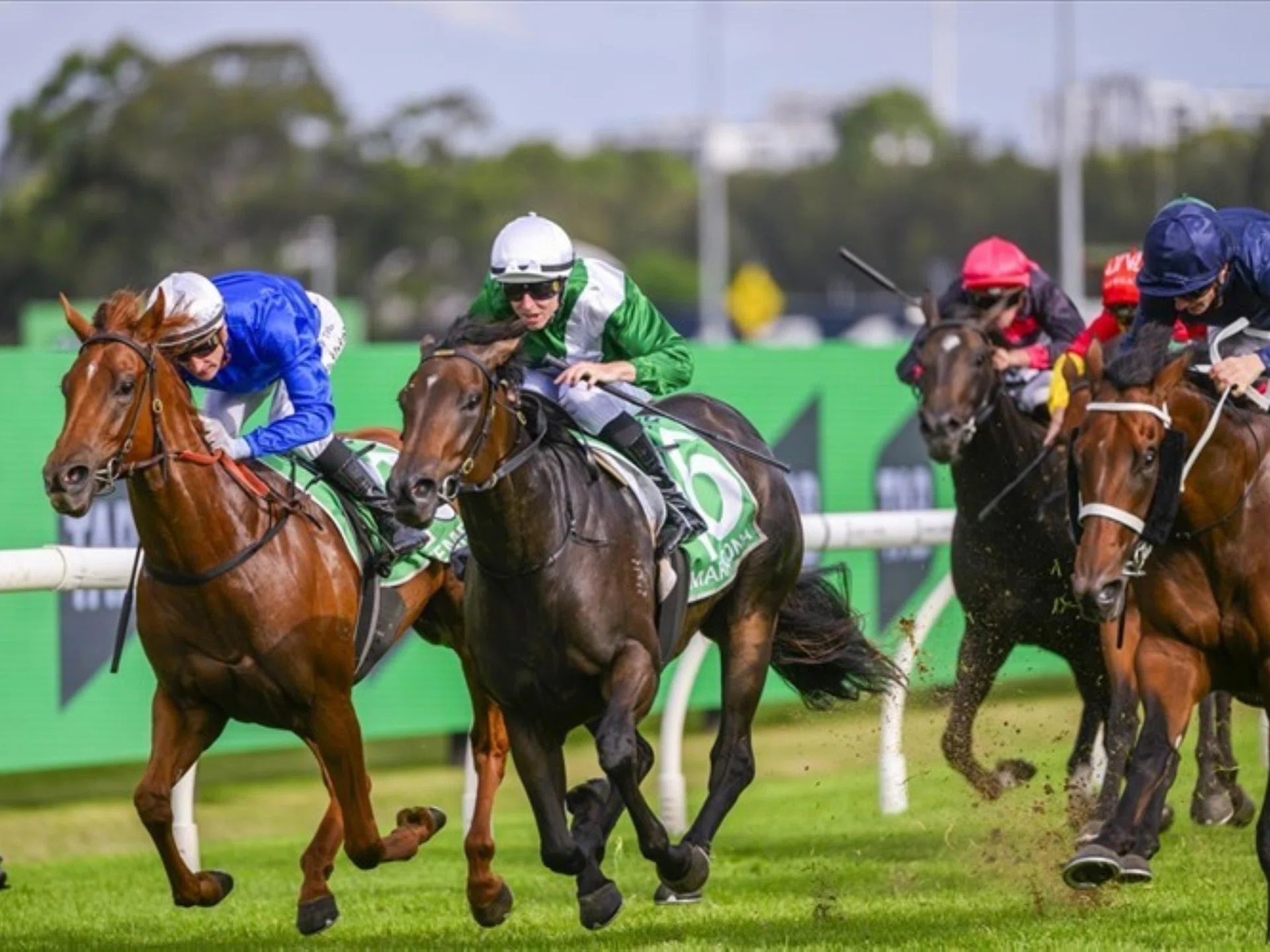 A solo Slipper for Freedman, Latest News - The New Paper