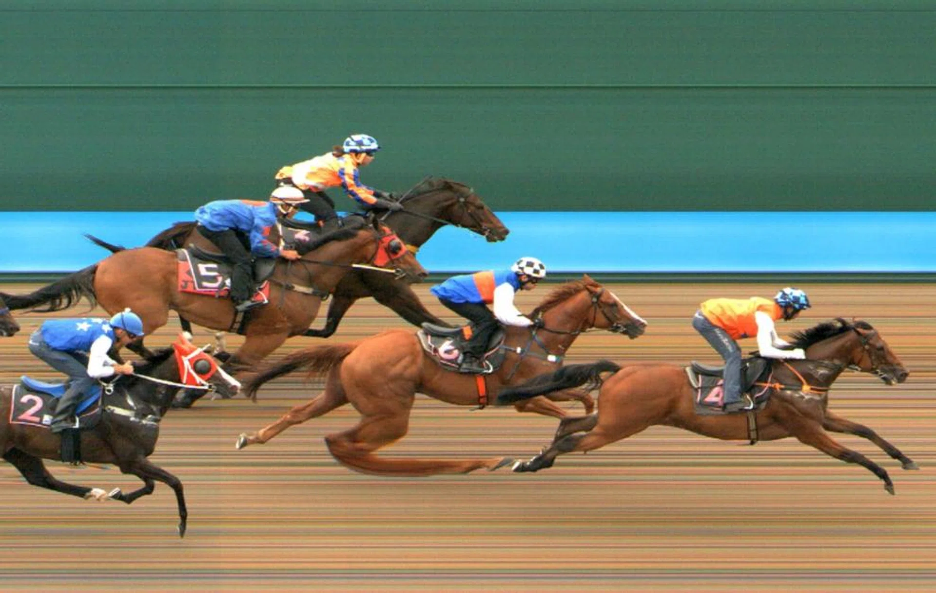 Stable queue-up for Donna..., Latest Sports News - The New Paper