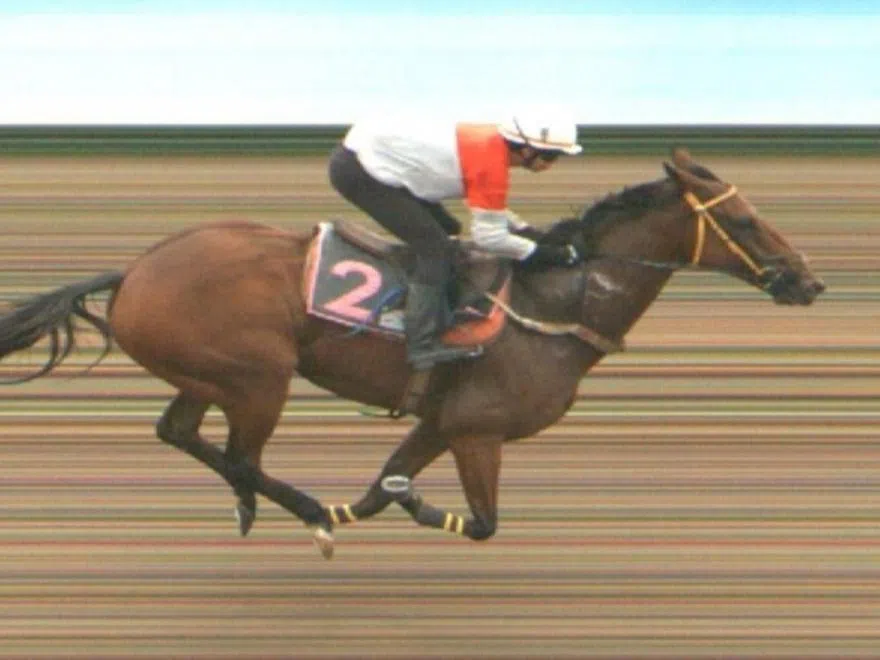 Red Dot keeps getting bigger | The New Paper