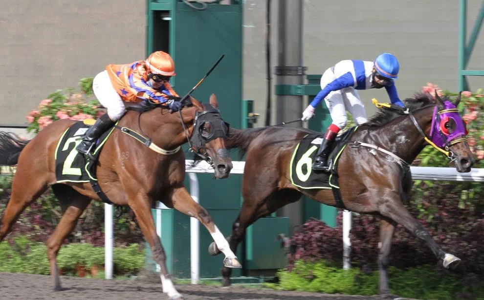 Seow-Axel combo excels again | The New Paper