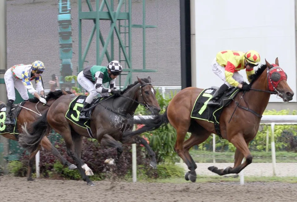 Italian Revolution, Aftermath impress | The New Paper