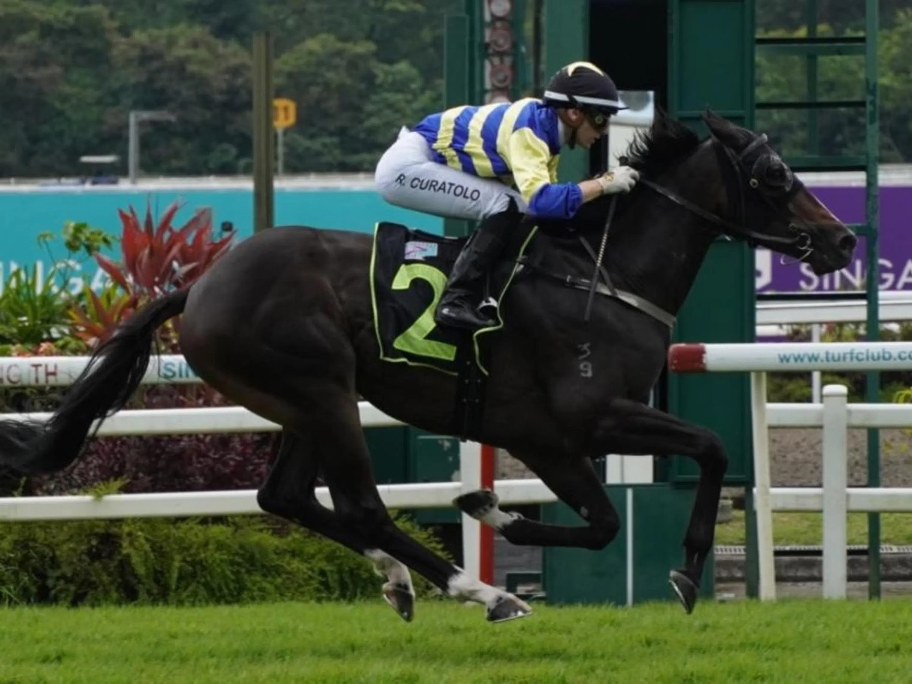 Team Asogan ready to assert power at upcoming Ipoh races | The New Paper