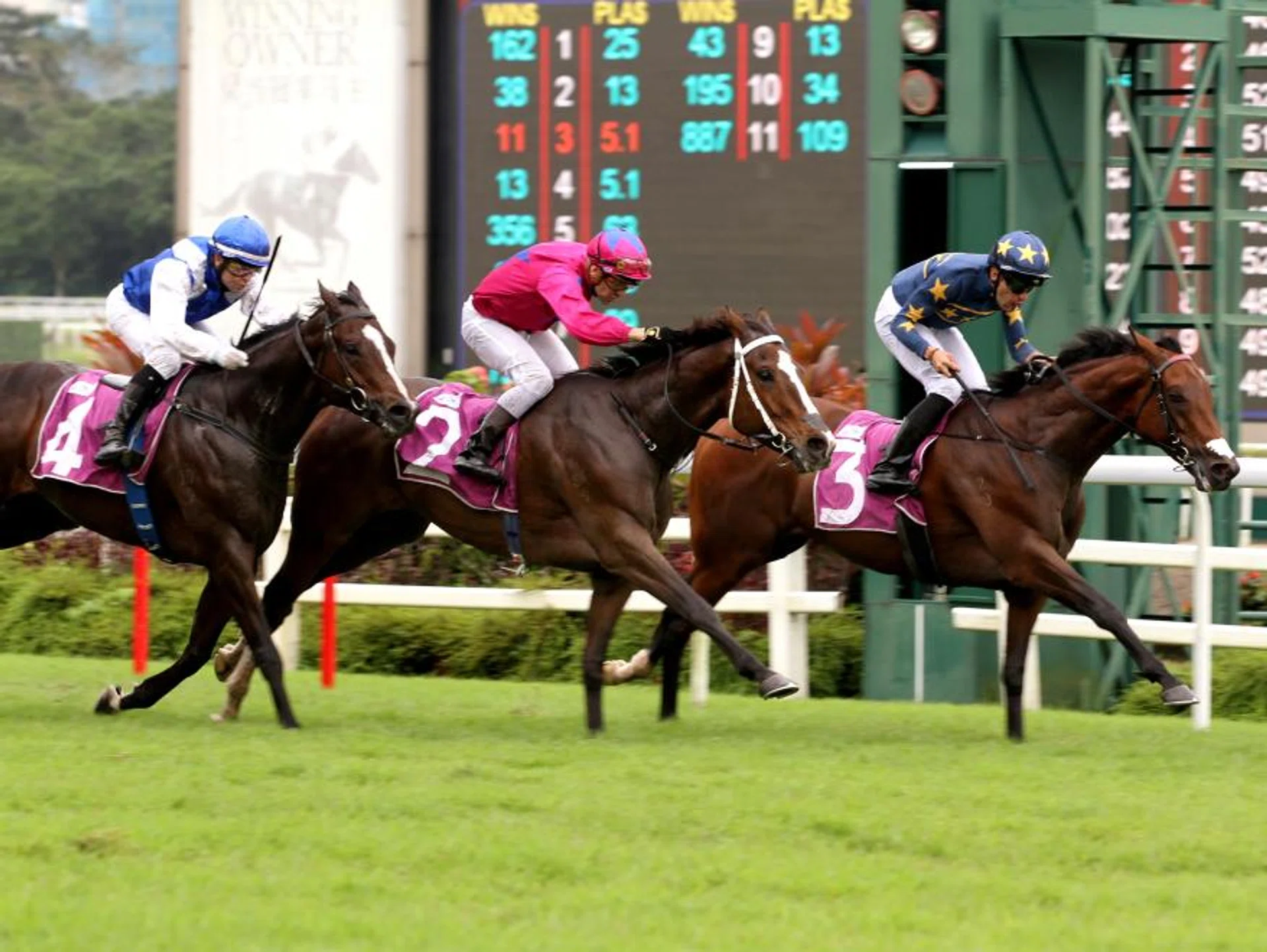 Meagher locks in Derby after Stewards' Cup win | The New Paper