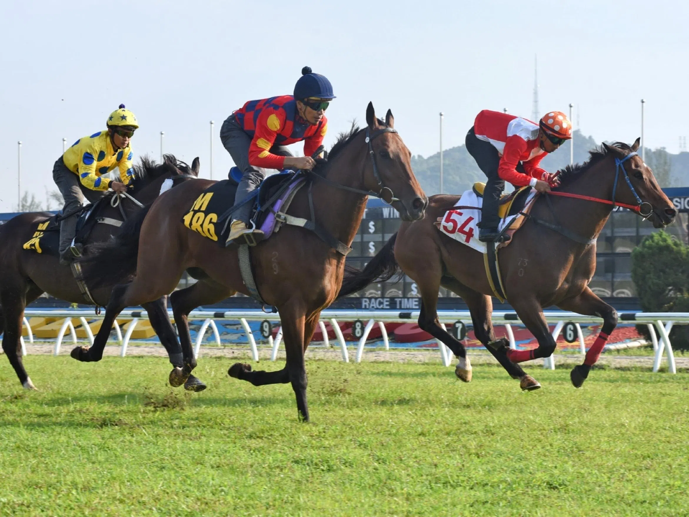 The Wild Chief set for M'sian launch | The New Paper