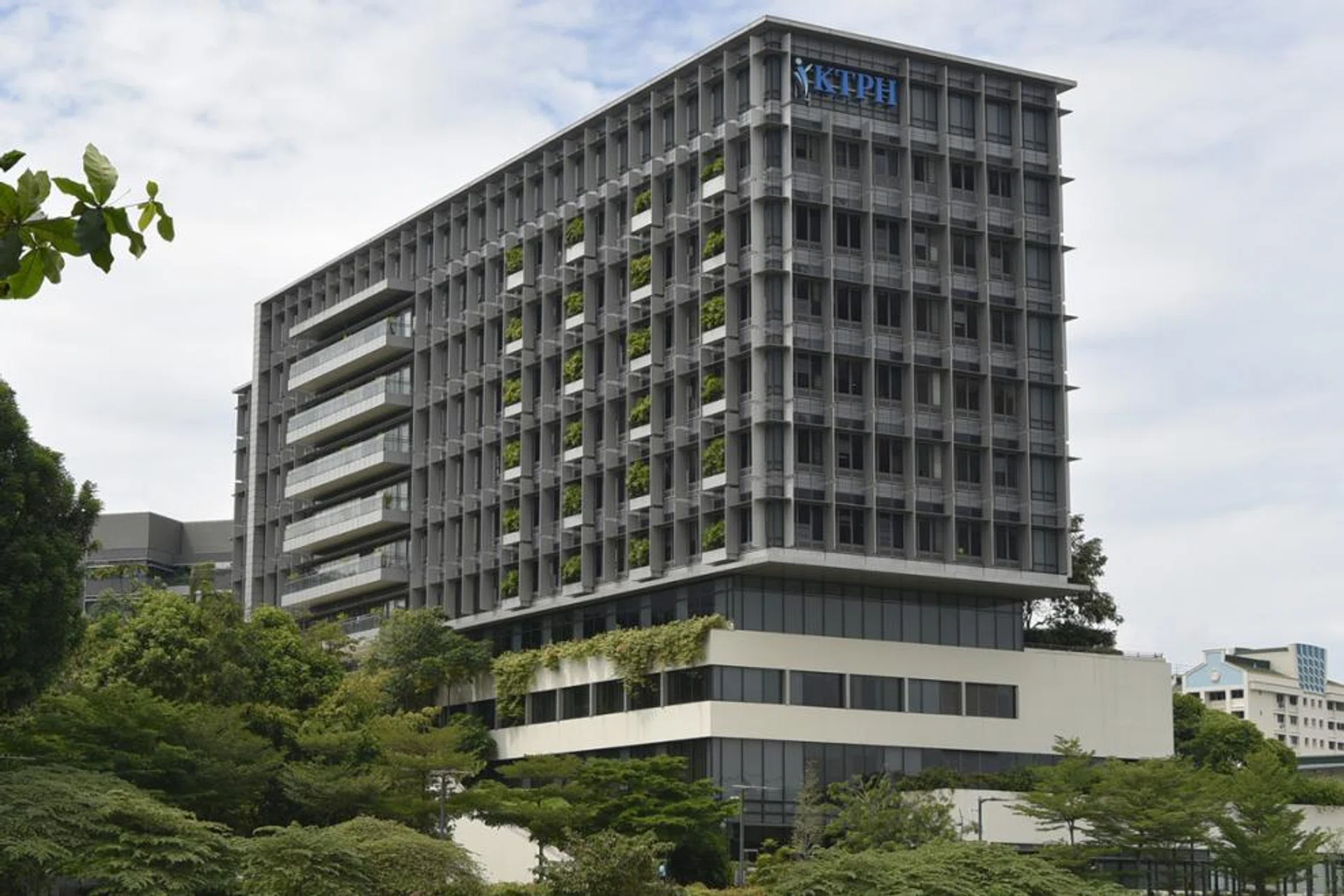 Five KTPH staff disciplined for breast cancer treatment error | The New ...