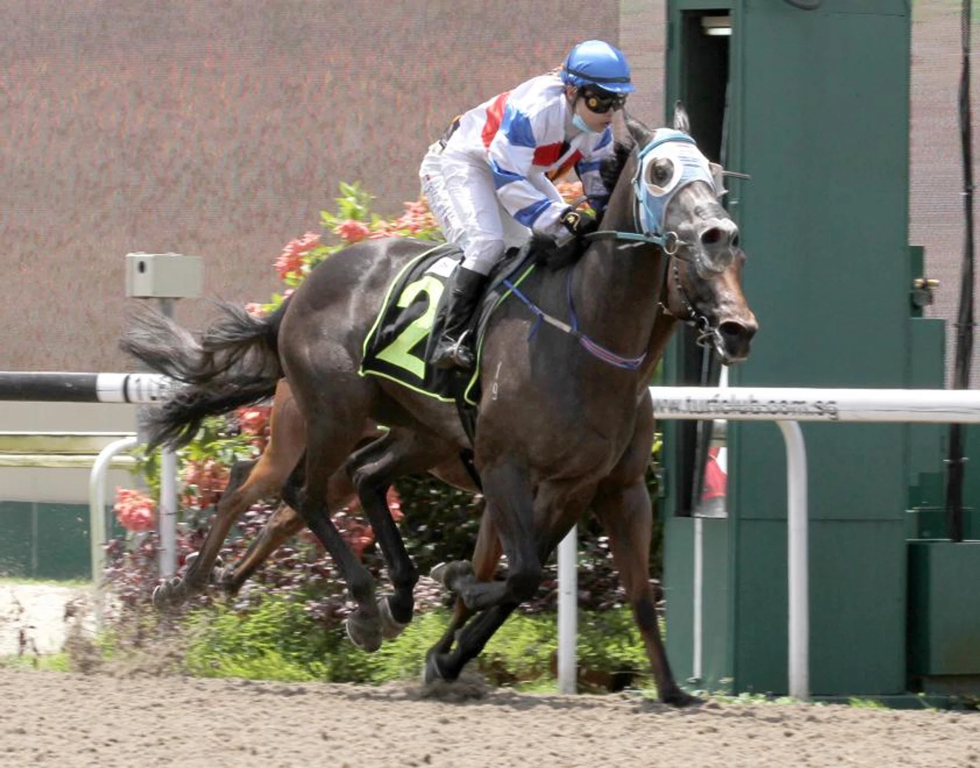 Cash Cove in the zone for another payday | The New Paper