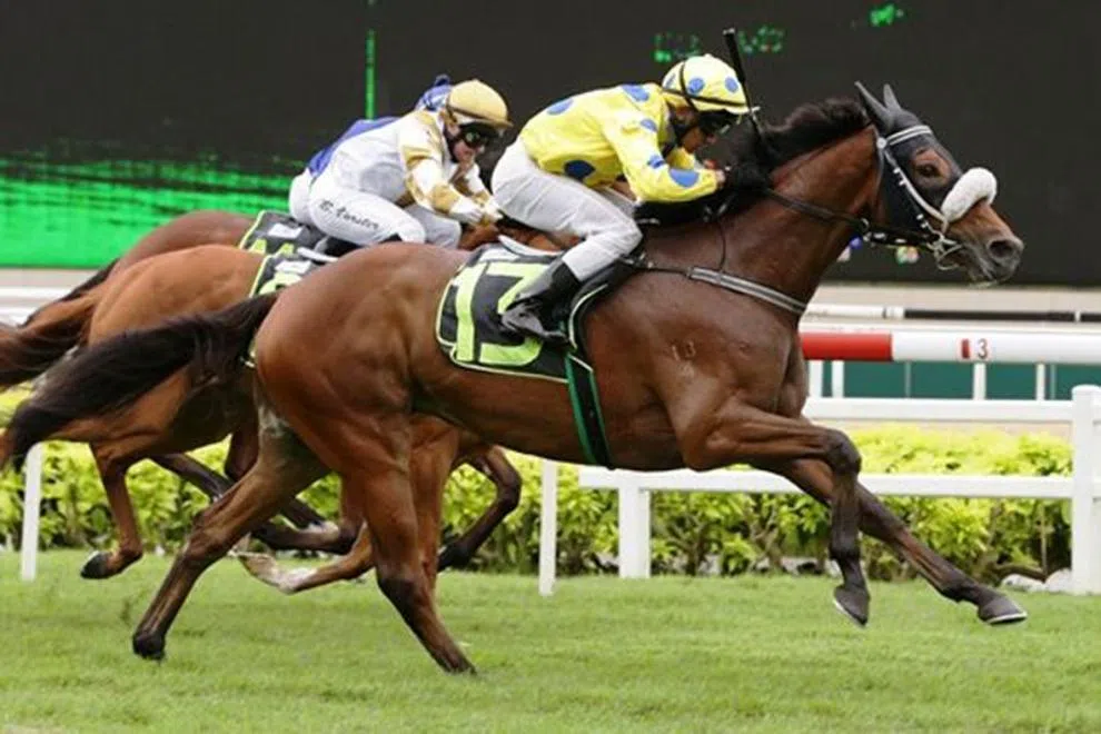 Guide to yesterday's Kranji..., Latest Sports News - The New Paper