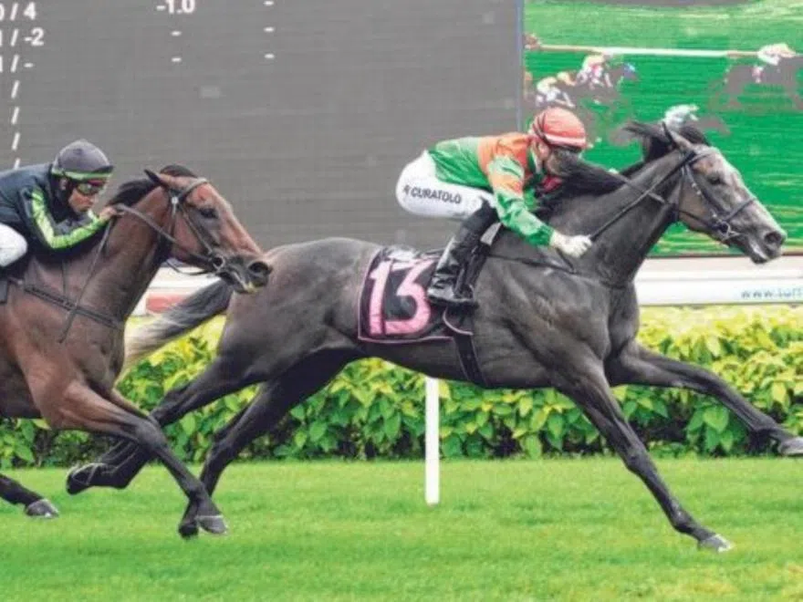 Winning return for Curatolo | The New Paper