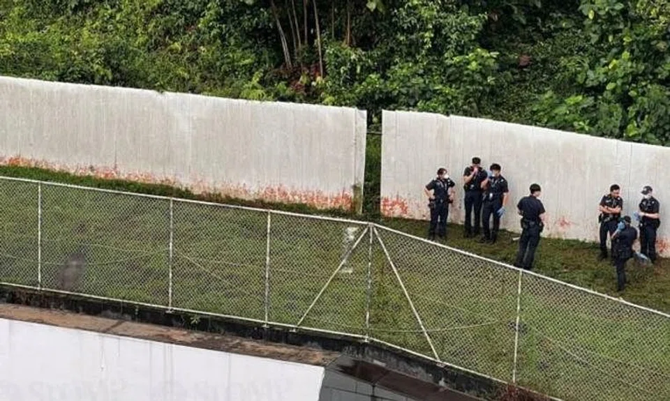 Badly decomposed body of man found outside Republic Polytechnic compound | The New Paper