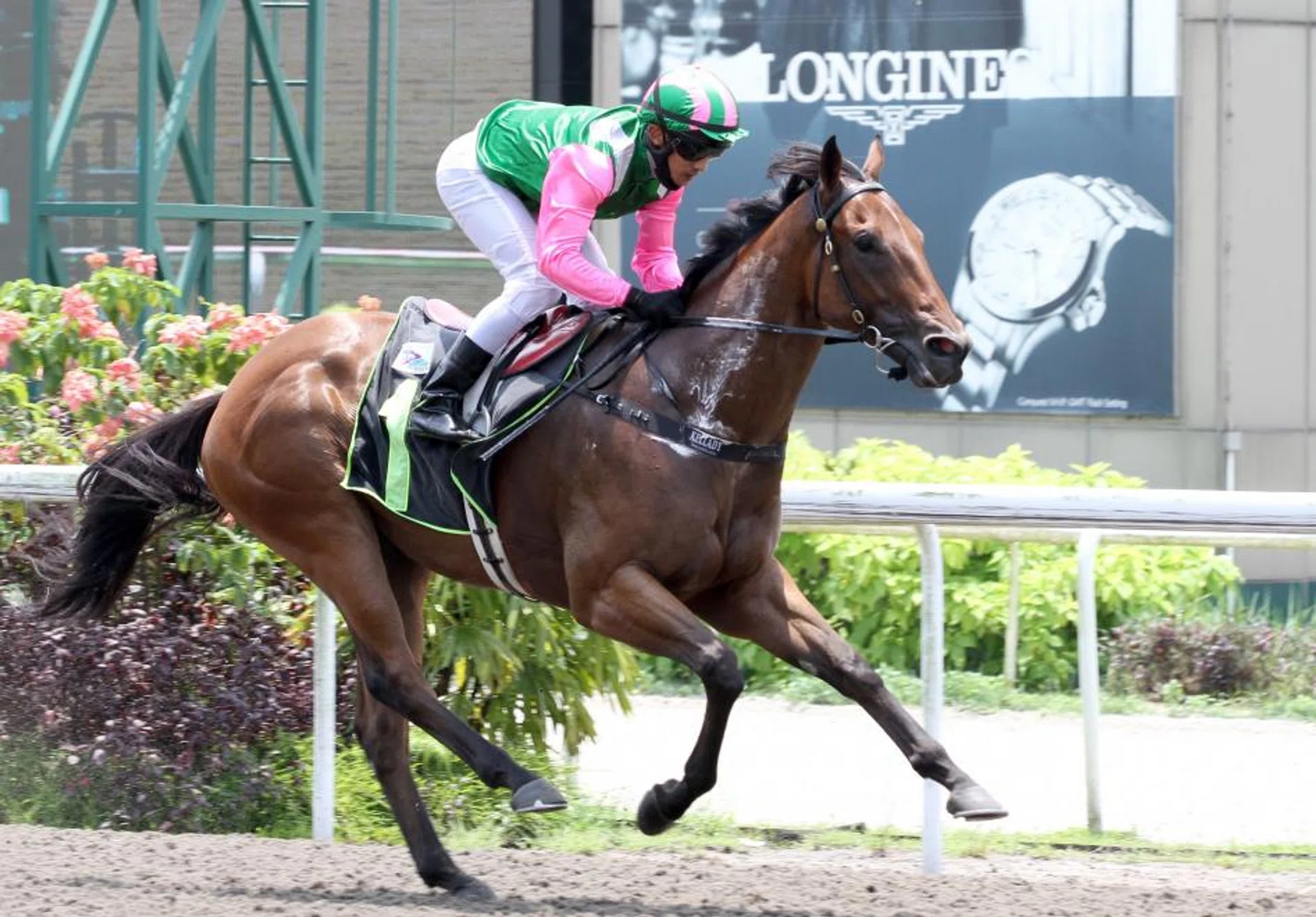 Shang Chi: Shane's new marvel? | The New Paper