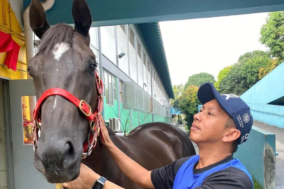 Onward with City Gold Forward | The New Paper