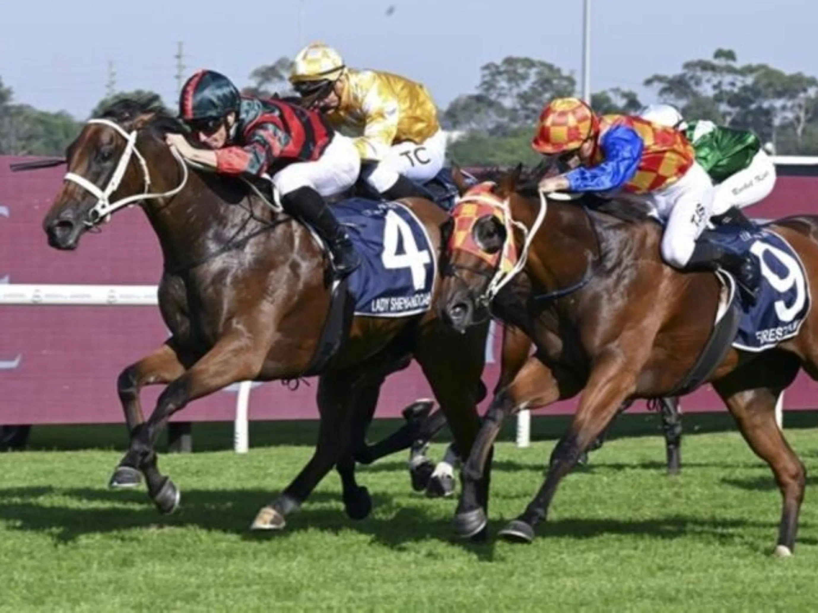 Lady Shenandoah getting lie of the land at Moonee Valley | The New Paper