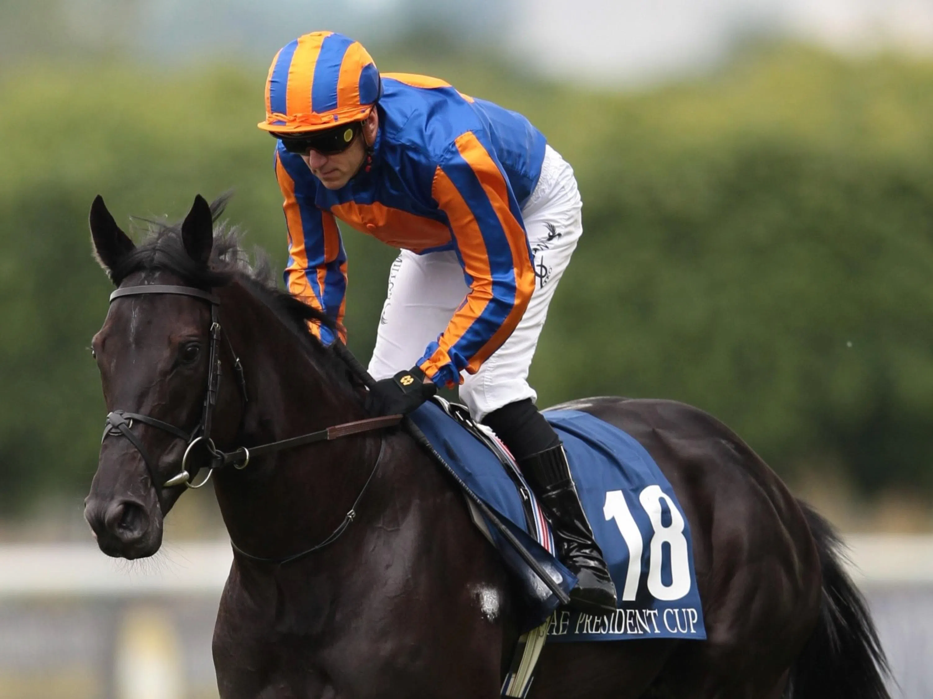 June 1 Prix du Jockey Club form analysis | The New Paper