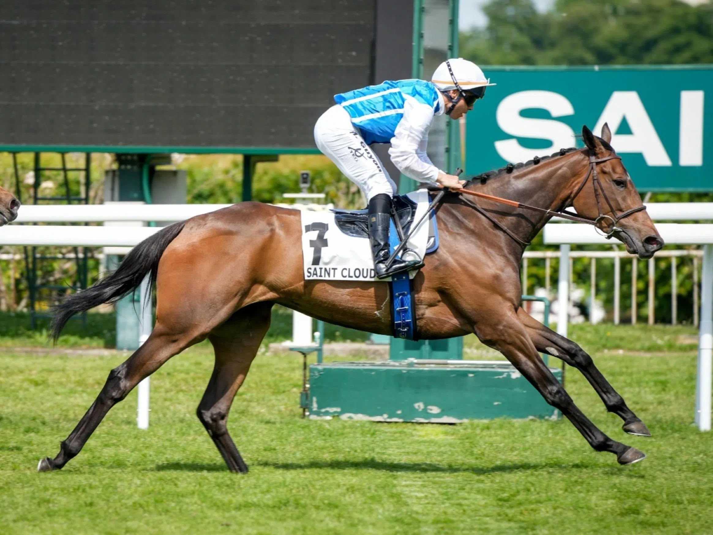 G1 Prix Vermeille shapes as likely preview for Arc | The New Paper